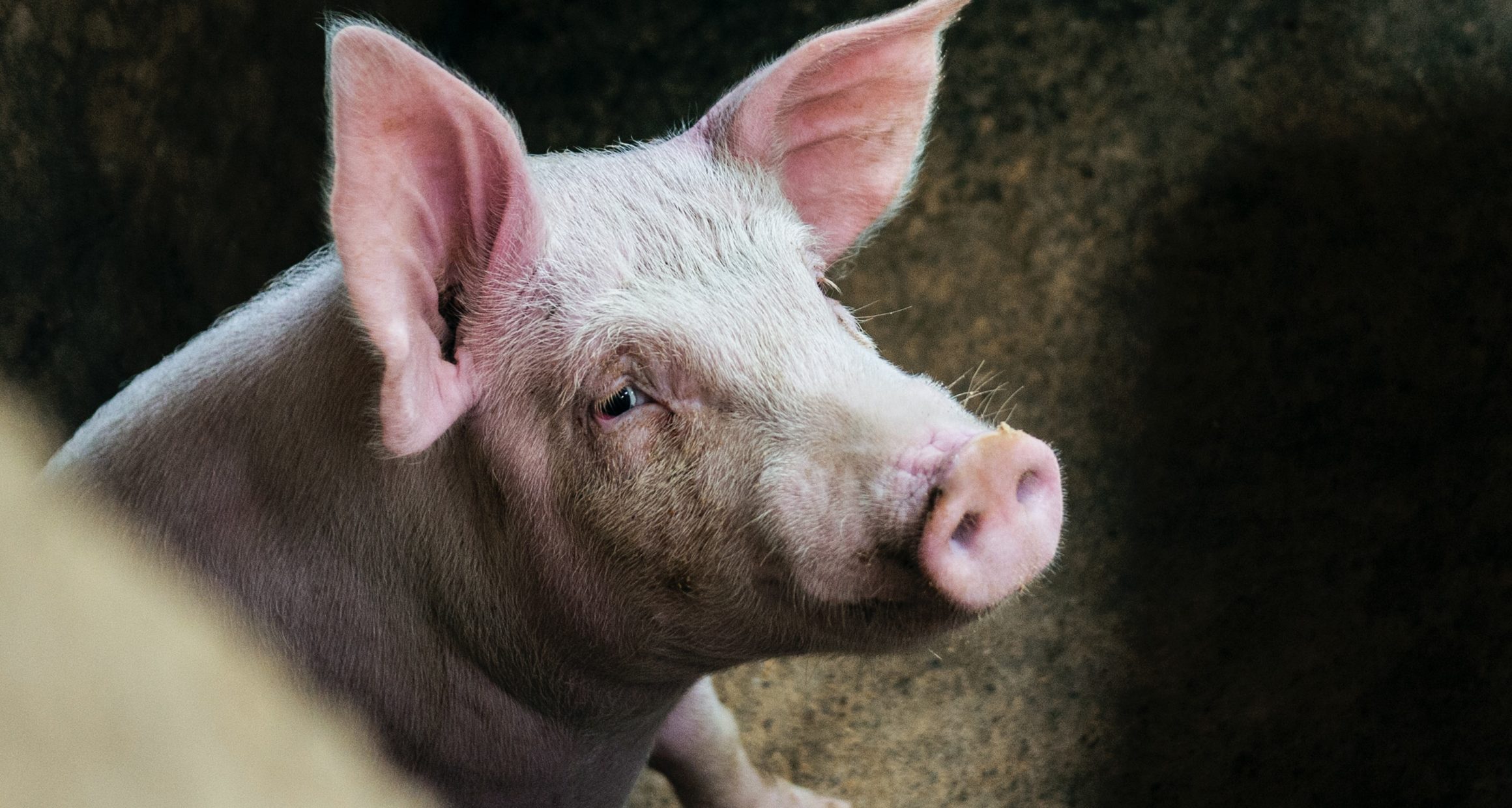 The Taiwan Times - Taiwan's Trusted Journal